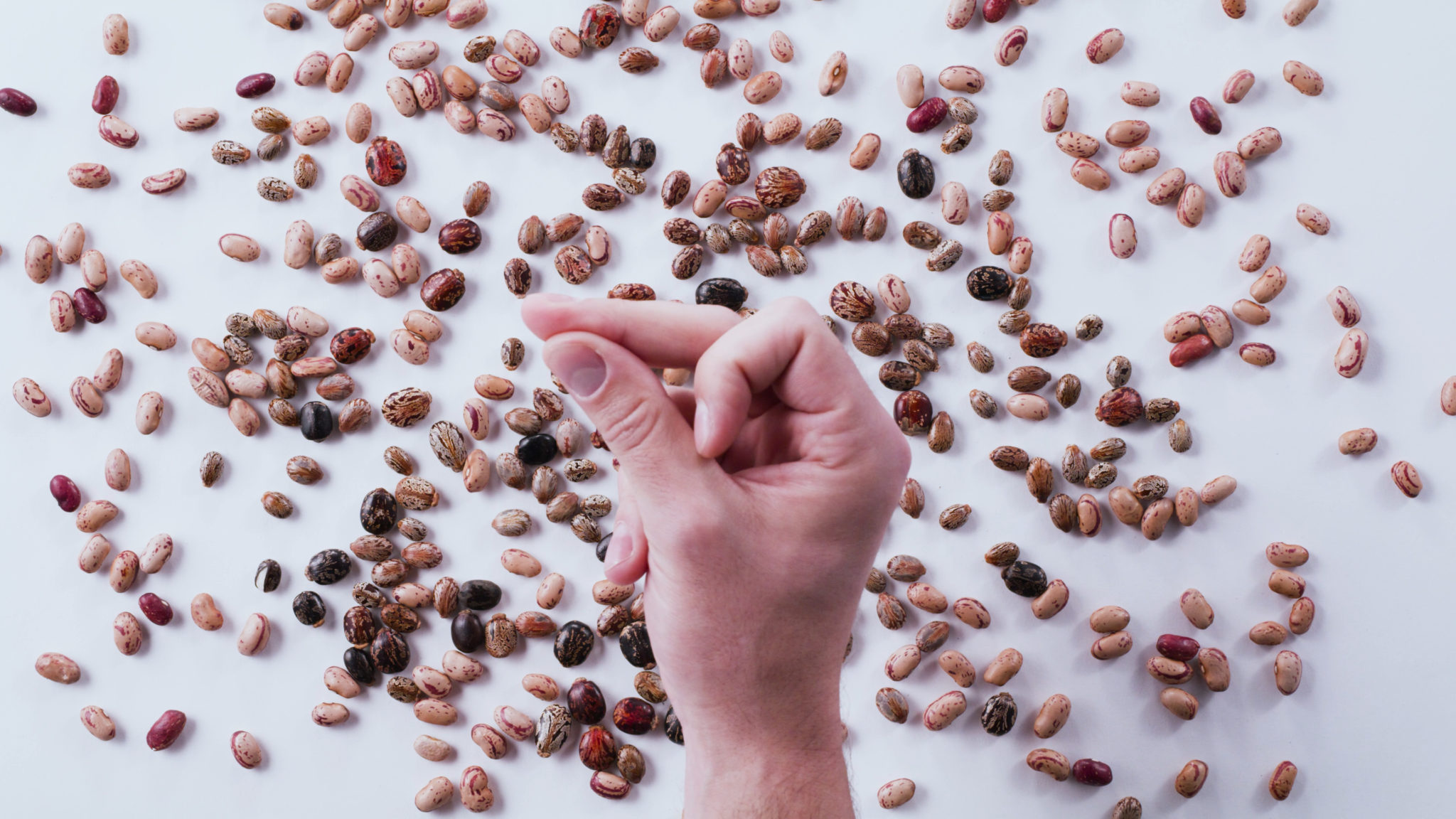 Arkema | Advanced Bio-Circular Materials - MAKE/FILMS